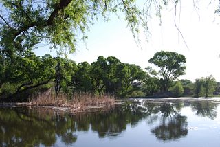 Babacorami Ranch Co., LLP
