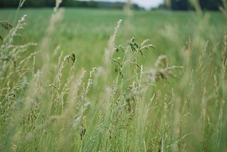 Roaring Springs Ranch