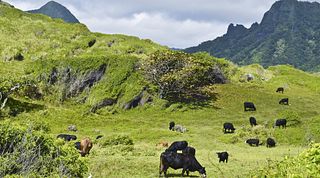 Kualoa Ranch
