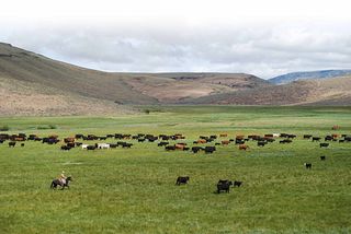 Roaring Springs Ranch