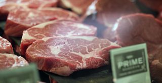 Montana Beef Directory