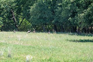 Birdwell & Clark Ranch