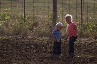 Beef Checkoff & Forms