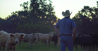 Bluff Creek Cattle Company