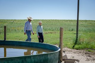 Flying Diamond Ranch