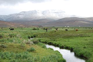 Roaring Springs Ranch