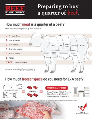 Infographic library