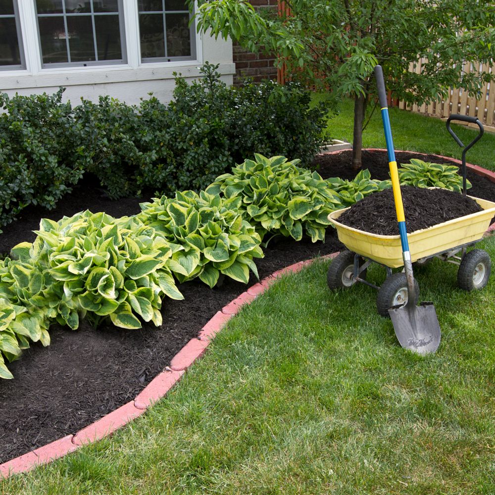 Hop, Skip and Plant Your Way to Spring Curb Appeal - Cambria Mortgage