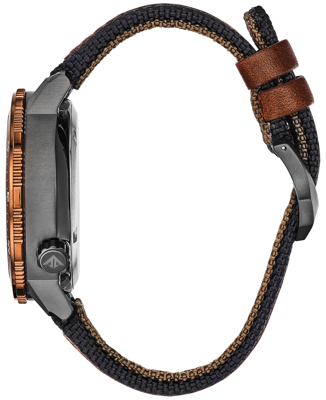 Citizen Promaster Altichron Eco-Drive Stainless Steel Watch | Citizen