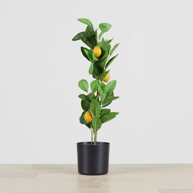 Lemon Green 23" Tree