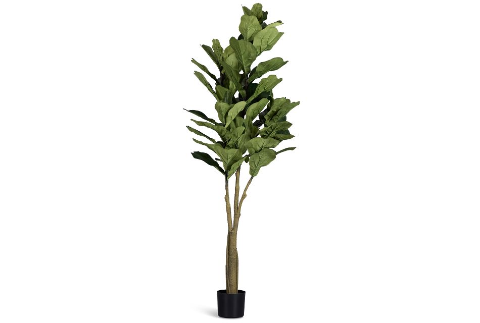 Maeve 6.5' Fiddle Fig Tree