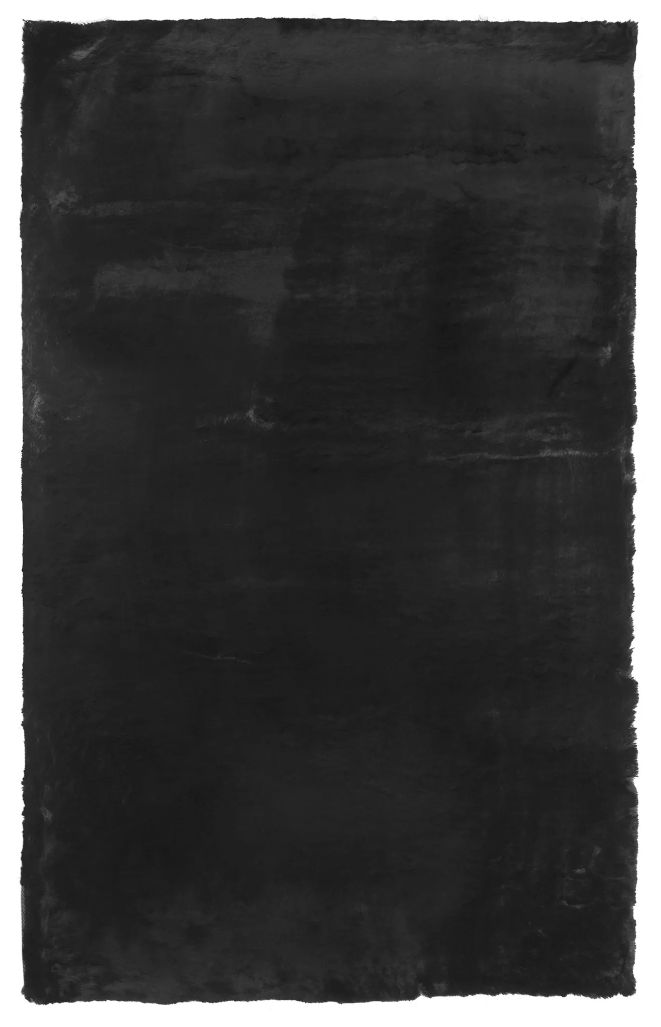 Kaycee Black 4x6 Area Rug