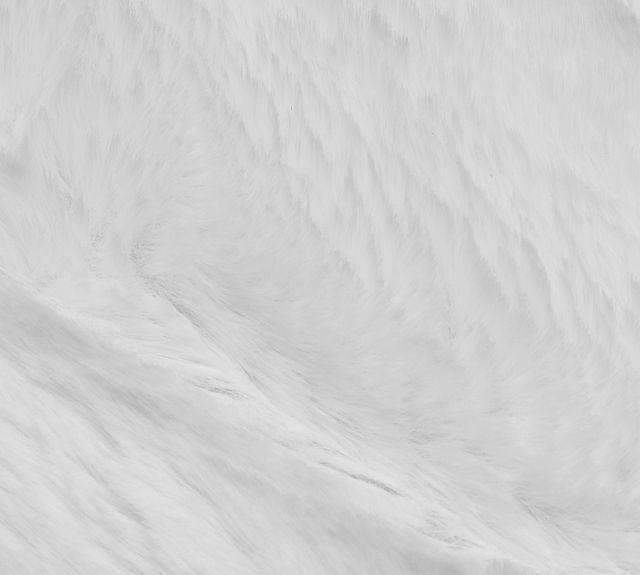 Kaycee White 2x3 Area Rug