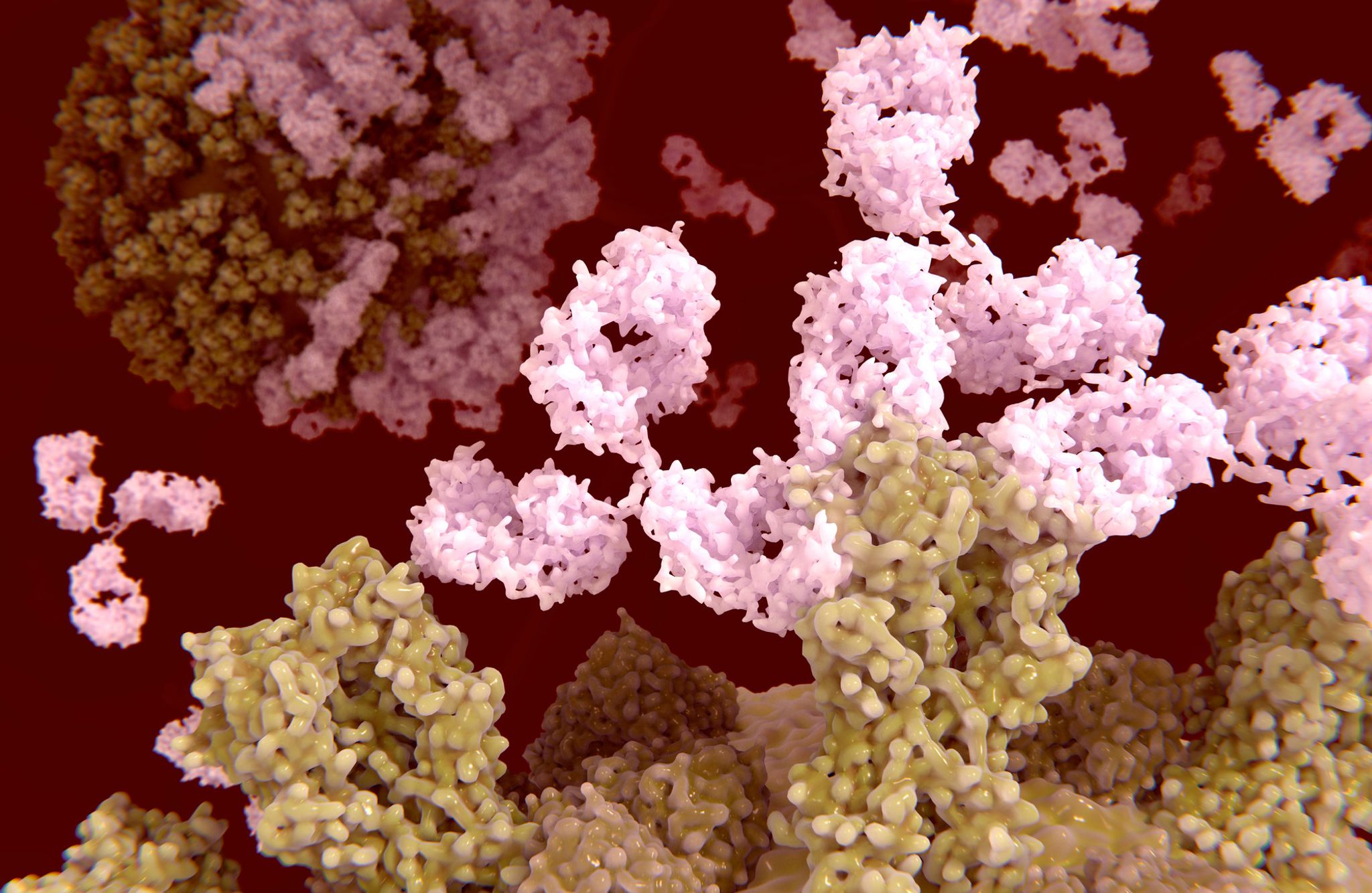 Biophysical Characterization | Charles River Biophysical Characterization | Charles River
