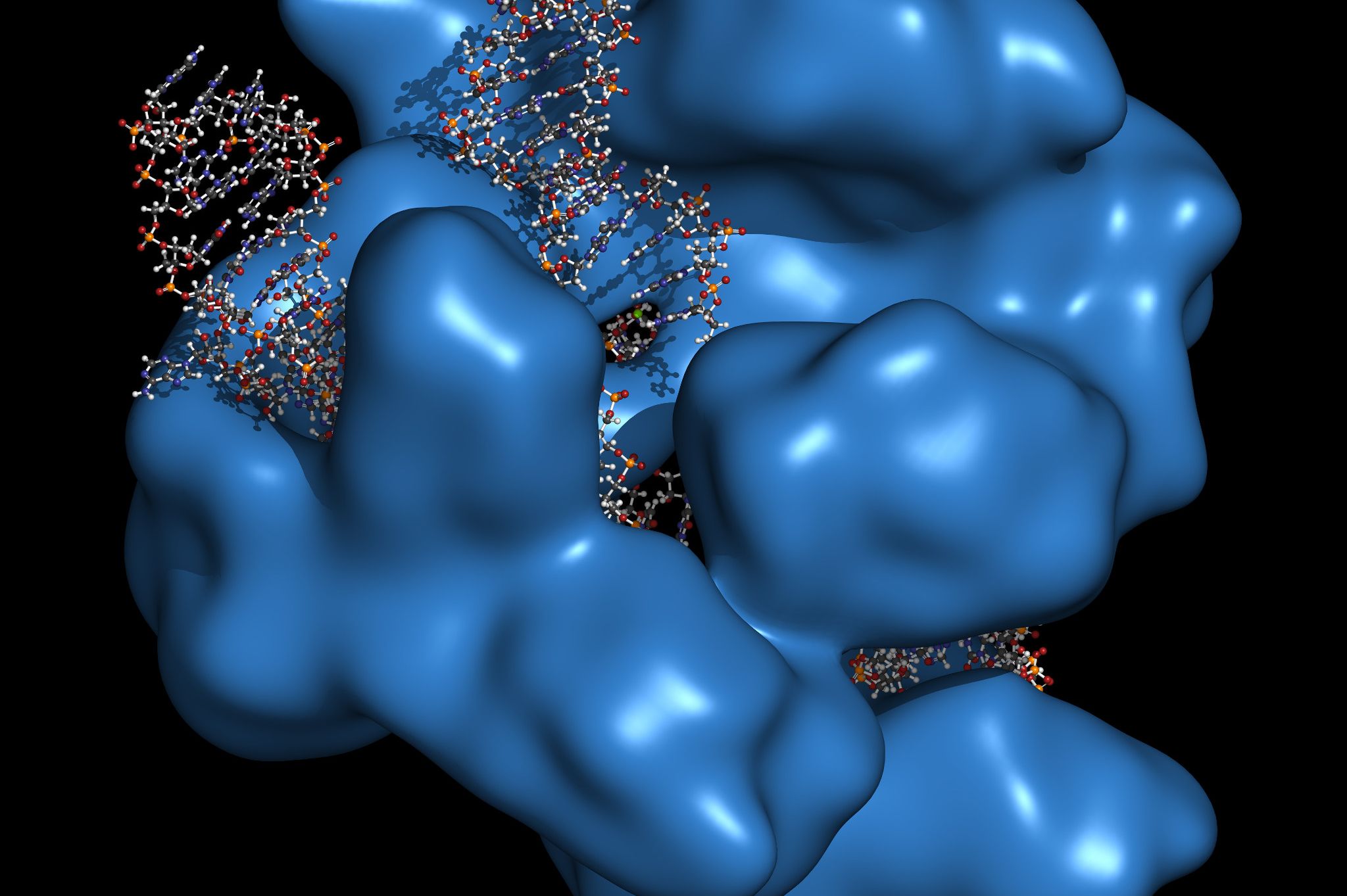 CRISPR Mice and Rats | Charles River