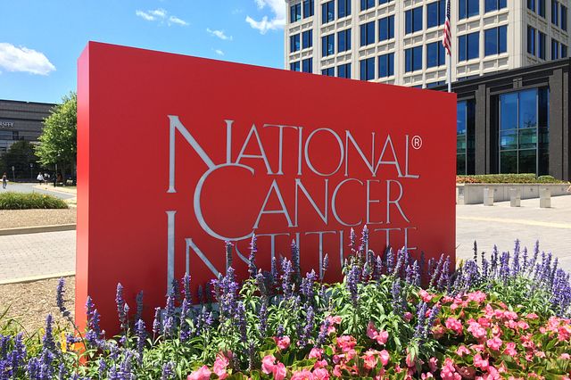 NCI Grantee Program | Charles River