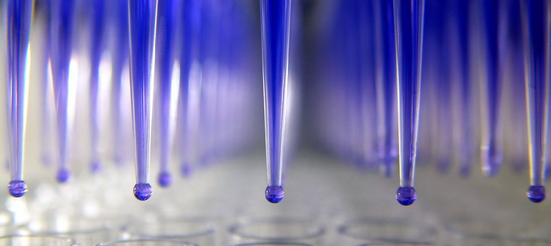 Automating HTS Workflows | Charles River