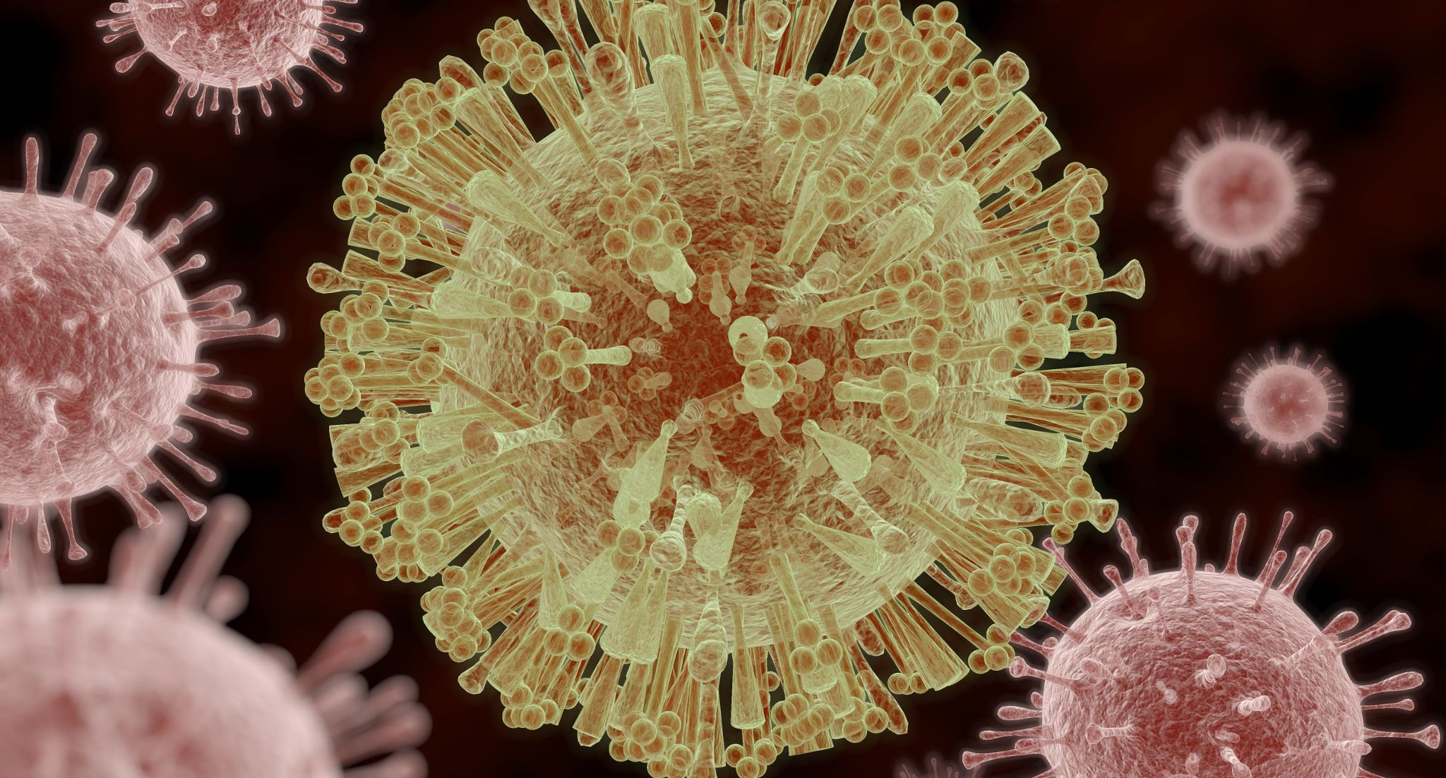 What is a BSL-3 Lab?