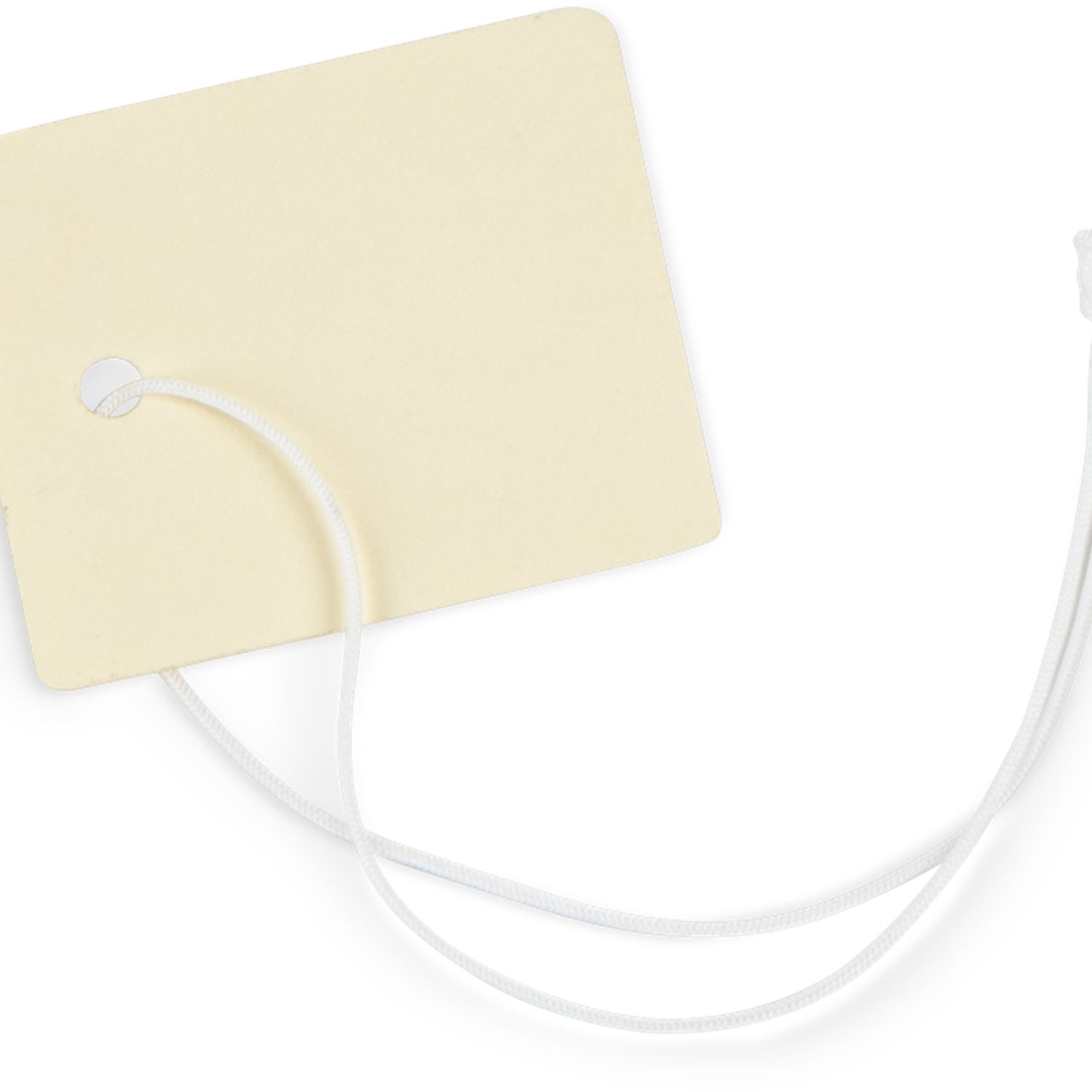 Gaylord Archival® 10 pt. Folder Stock Prestrung Artifact Tags with ...