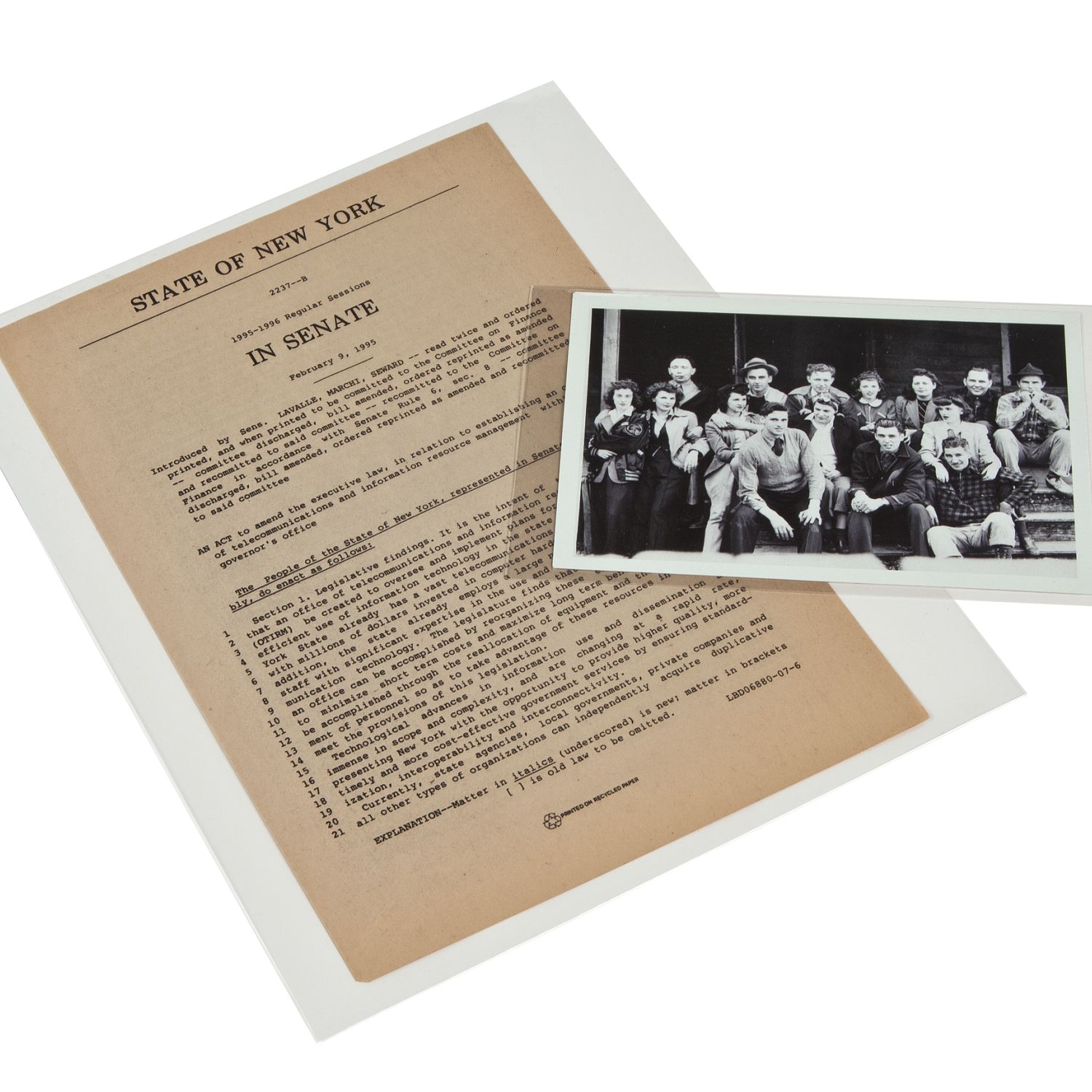 Gaylord Archival® 3 mil Archival Polyester L-Sleeves (10-Pack ...