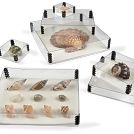 Gaylord Archival® Clear Polyester Artifact Boxes (10-Pack) | Storage ...