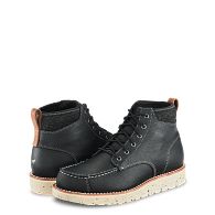 Setter Fifty | Irish Setter Setter Fifty | Irish Setter