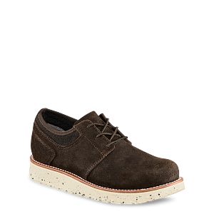 Setter Fifty® | Irish Setter