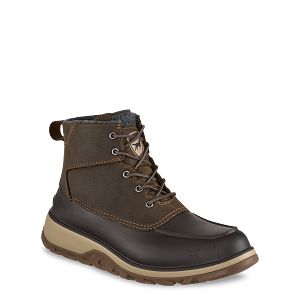 Northshore | Irish Setter