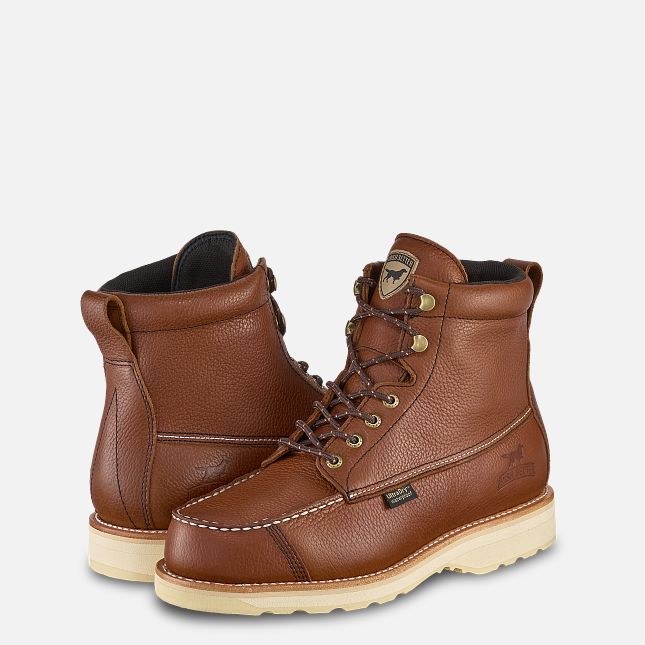 Wingshooter | Irish Setter Wingshooter | Irish Setter